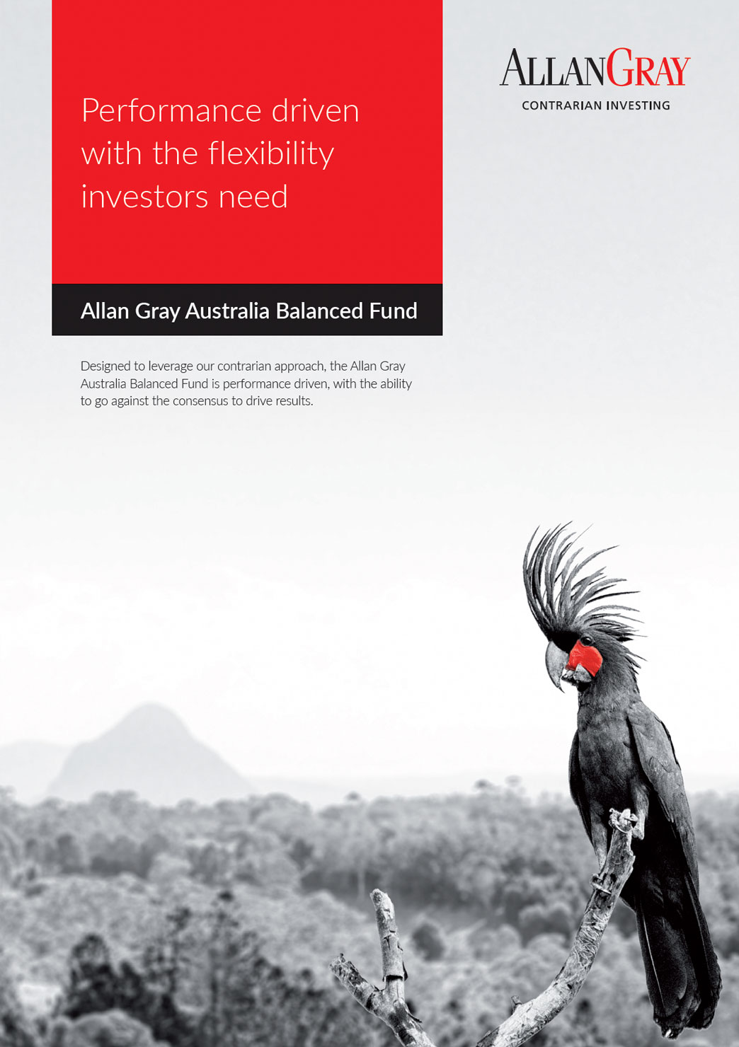 Allan Gray Australia news and insights library - Allan Gray