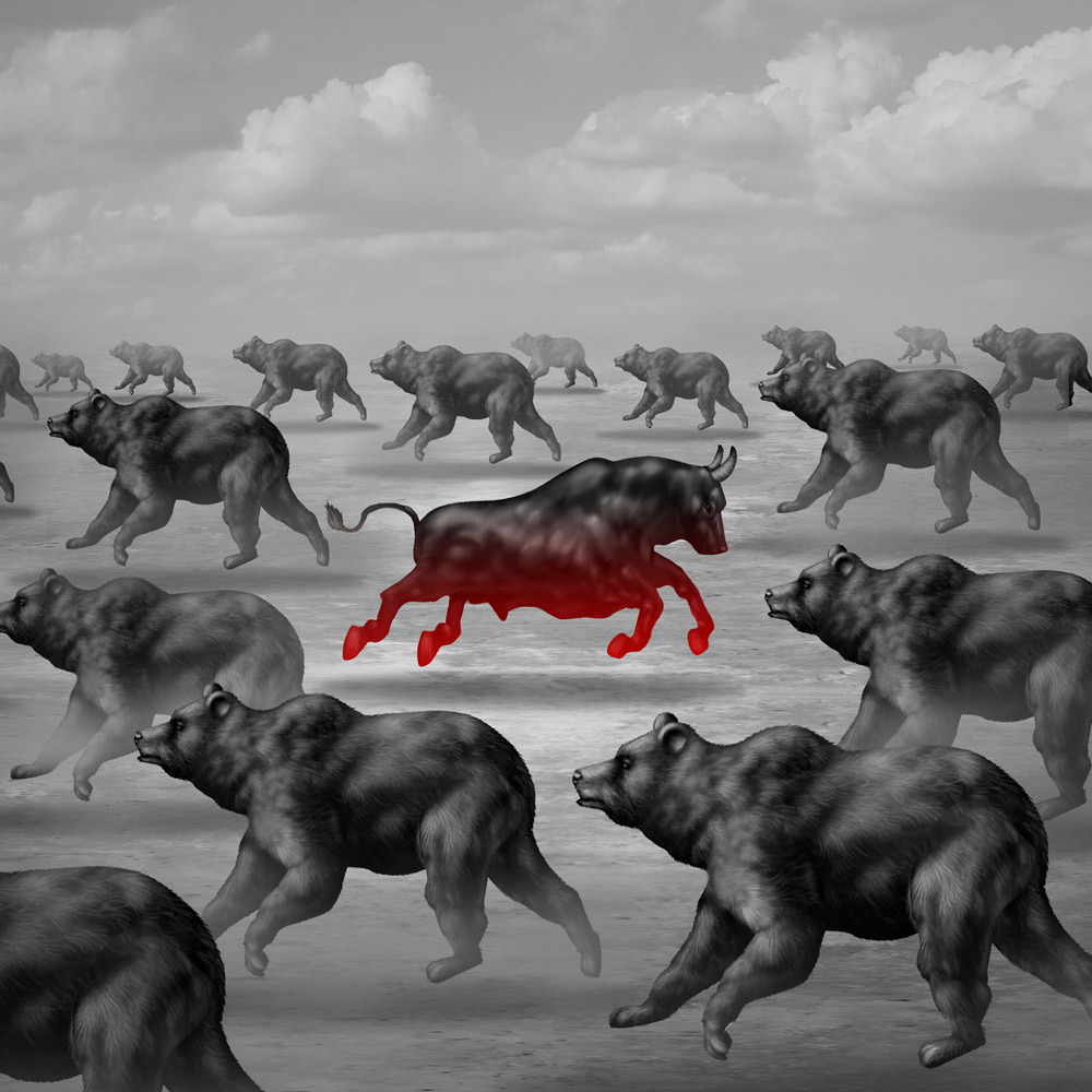 Allan Gray