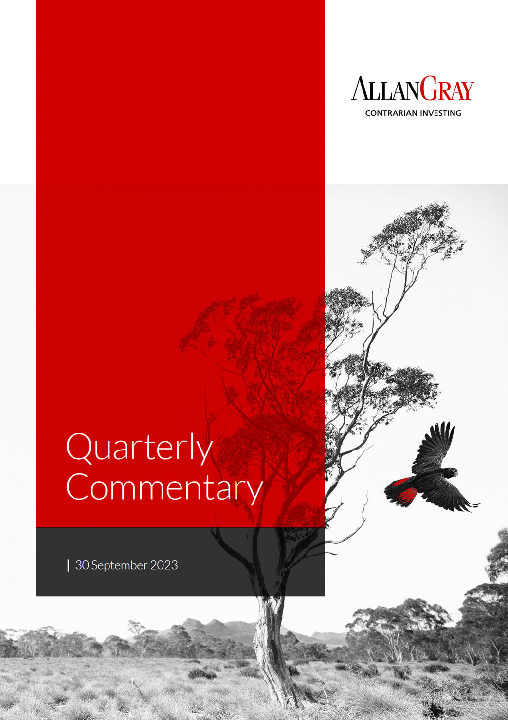 Allan Gray Australia news and insights library - Allan Gray