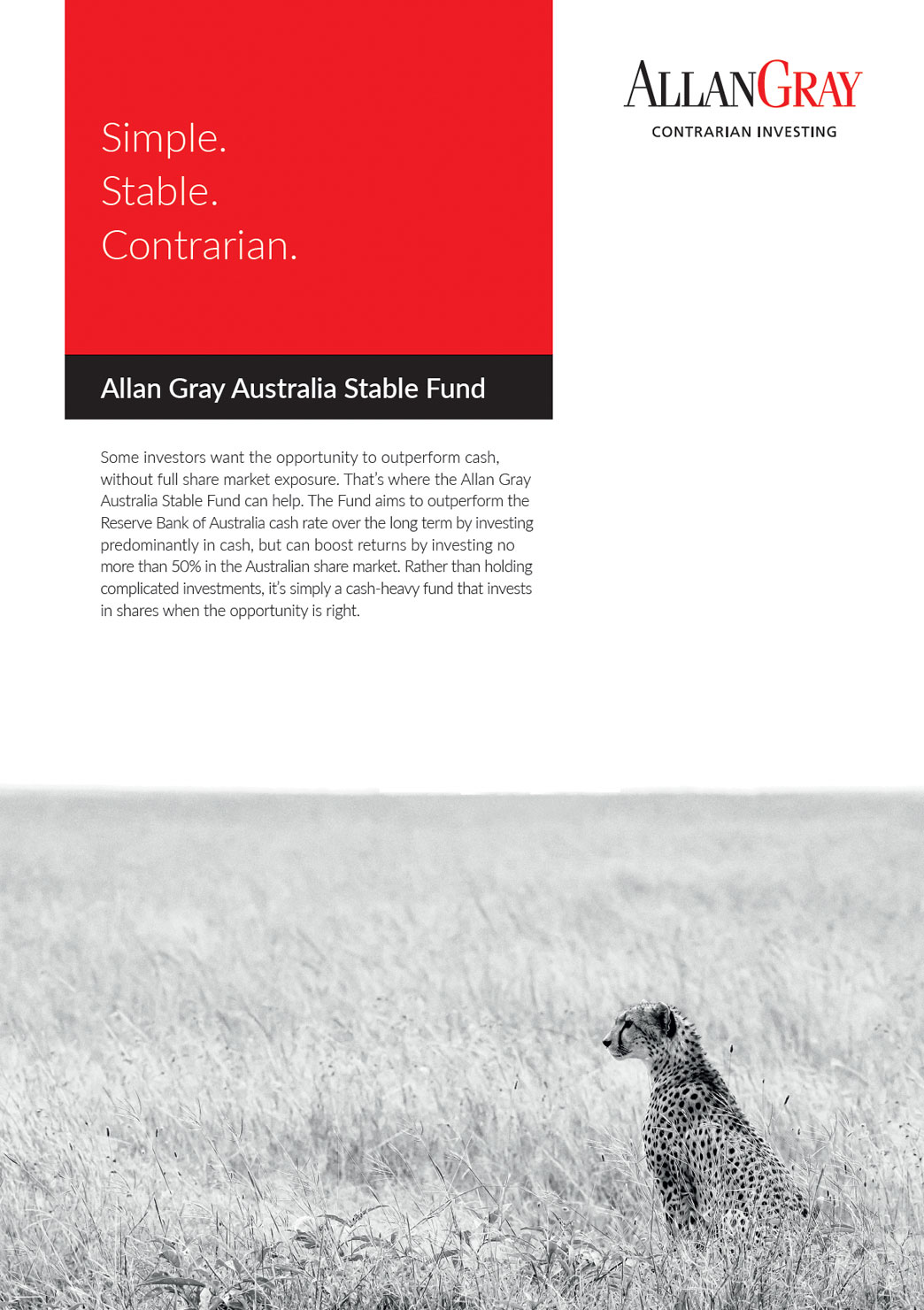 Allan Gray Australia news and insights library - Allan Gray